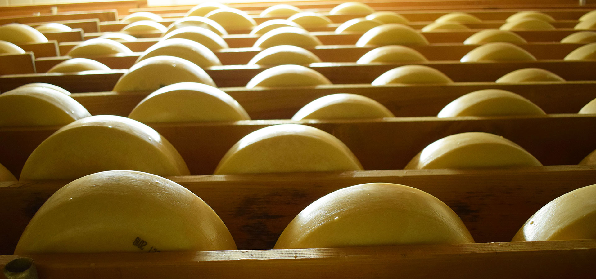 slide3 | Mahoe Farmhouse Cheese