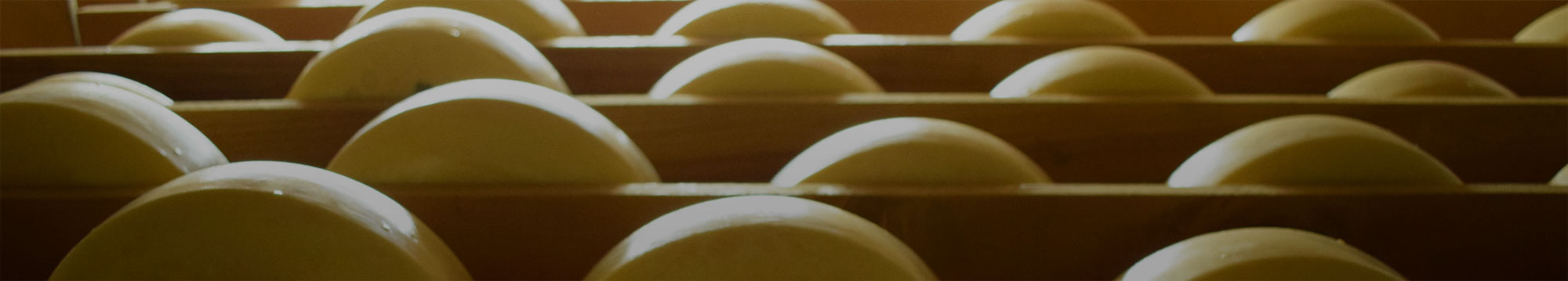 header3 | Mahoe Farmhouse Cheese