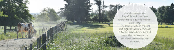 Welcome to Mahoe Farmhouse Cheese ~ Award winning cheeses!