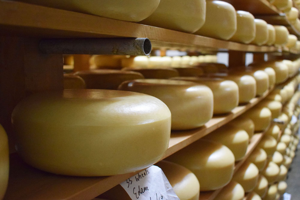 Shelves2web | Mahoe Farmhouse Cheese